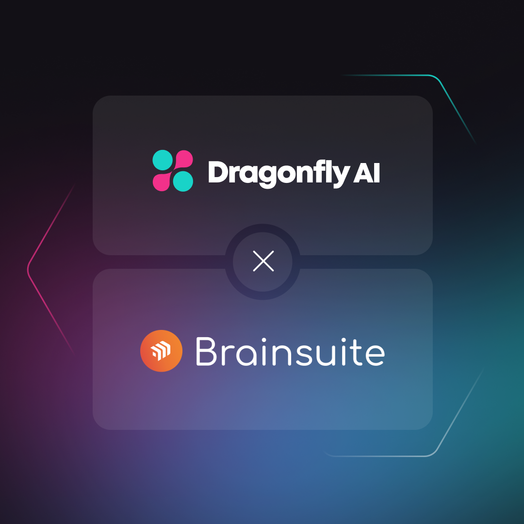 Dragonfly AI vs. BrainSuite: Which Creative Intelligence Tool Is Built ...